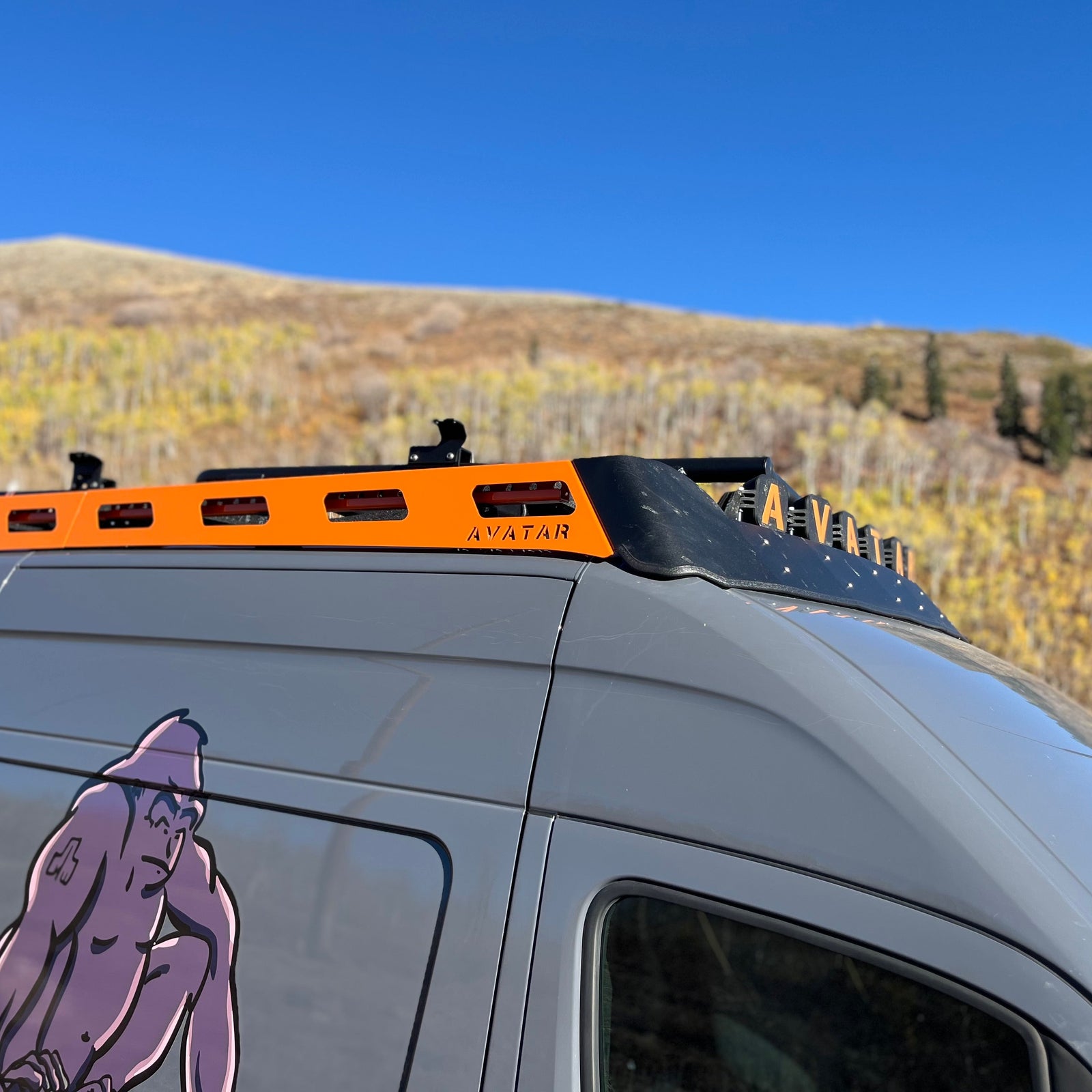 Avatar Offroad | Pioneer Sprinter Roof Rack